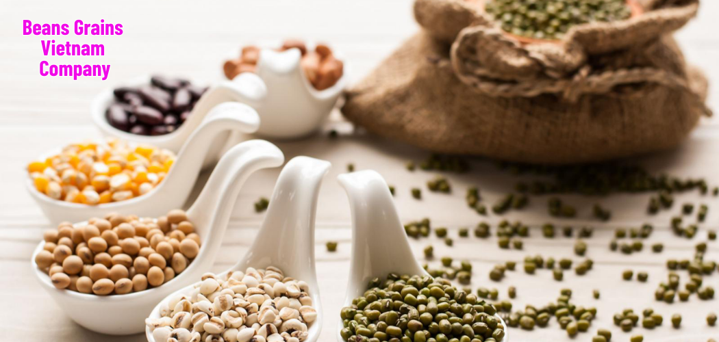 White Beans from Vietnam: Top-Quality & Low Price Bulk Export - Beans ...