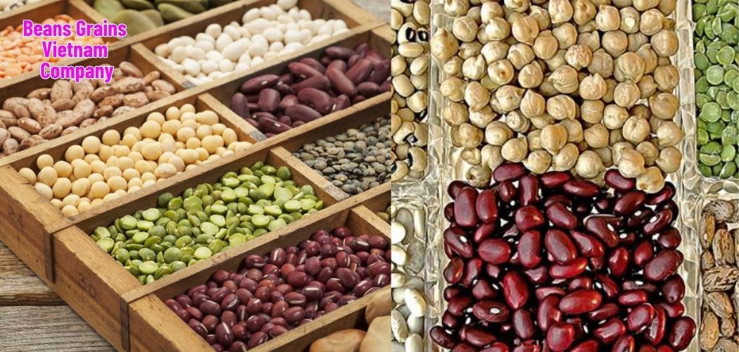 Plant-Based Protein Trends & How Legumes Fit In - Beans Grains Vietnam
